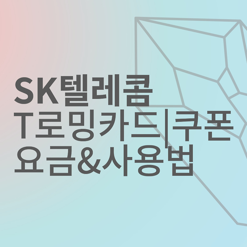 SK텔레콤 T로밍카드(쿠폰) OnePass | baro 요금제 로밍 선불 요금 및 사용방법