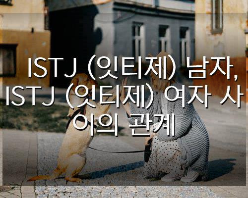 Istj 잇티제 남자 Istj 잇티제 여자 사이의 관계