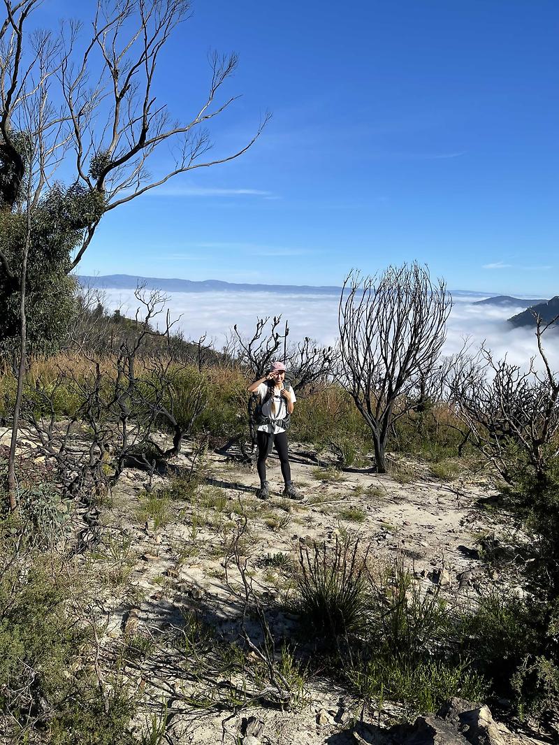 Easter 2021 : Blue Mountains
