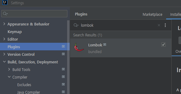 [IntelliJ] Lombok 설치 및 추가 설정
