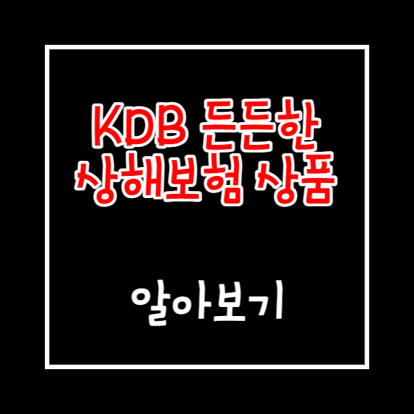 KDB 든든한상해보험 상품 파악하기