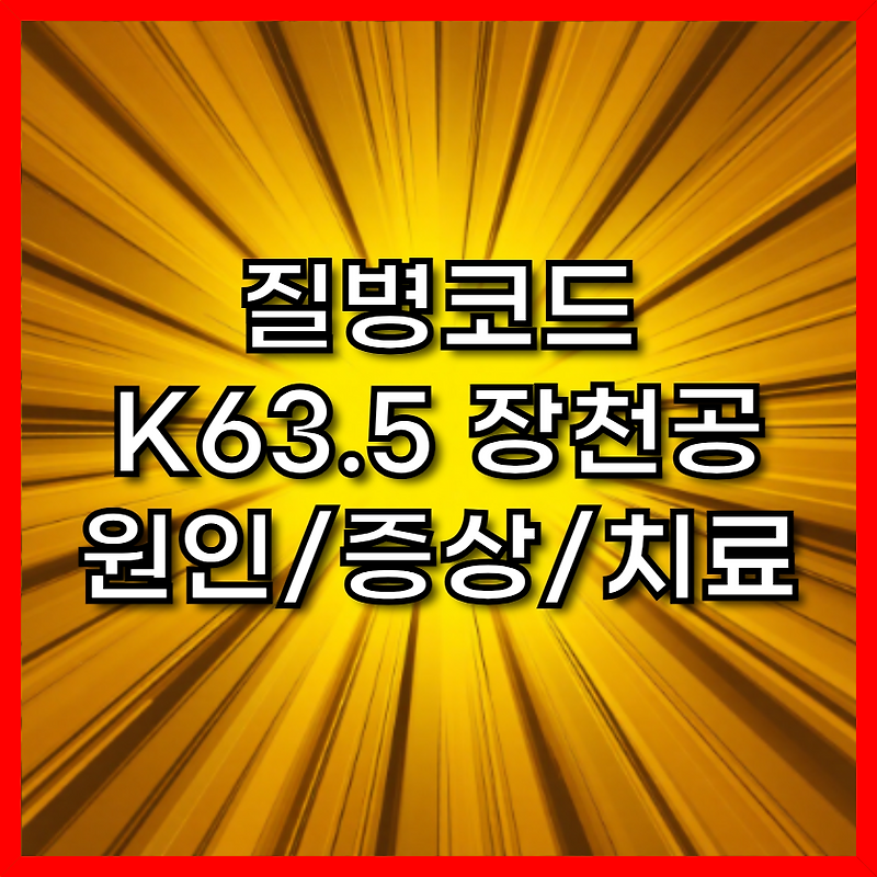 질병코드 K63.5 장 천공 원인, 증상 및 치료법 총정리