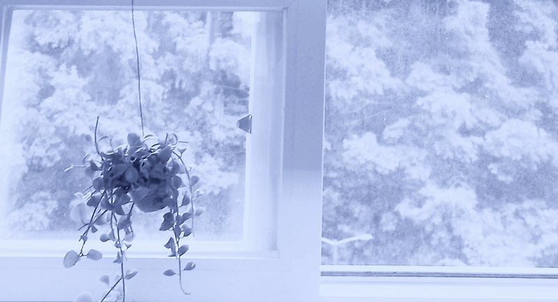 Careless Love 분별 없는 사랑(1950년) / Anita Carter 아니타 카터