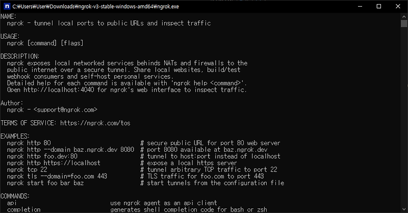 ngrok를 사용해서 웹페이지 공유해보기