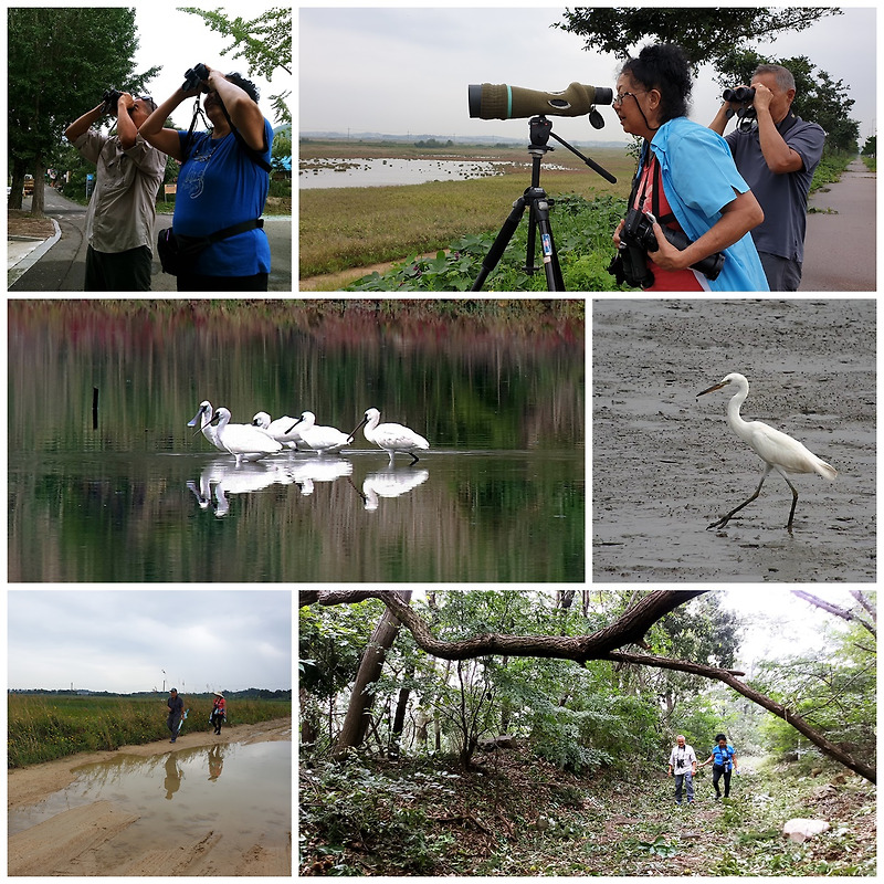Guided Birding Tour in September 2019