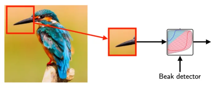 CNN(Convolutional Neural Networks)이란