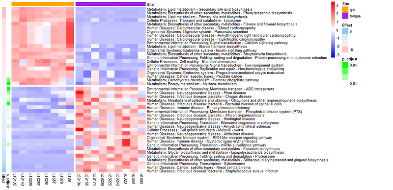 [pheatmap] PICRUSt2결과 aldex2분석 후 heatmap, effect size 그리기 — Bioinfo_newbie