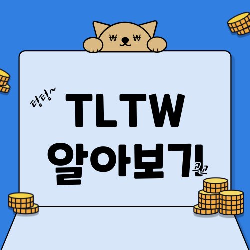미국 배당 TLTW 알아보기