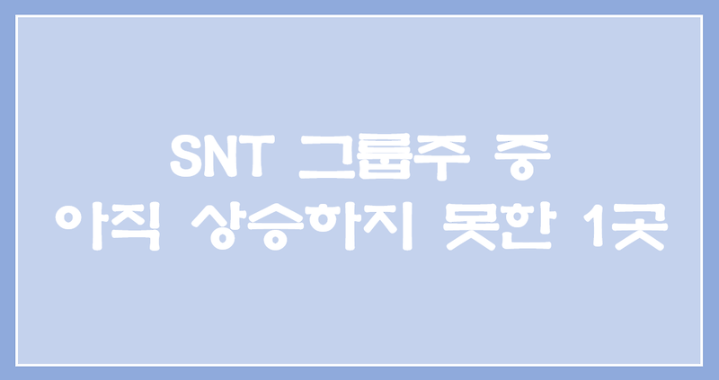SNT그룹주 , 아직 상승하지 못한 종목 1곳?