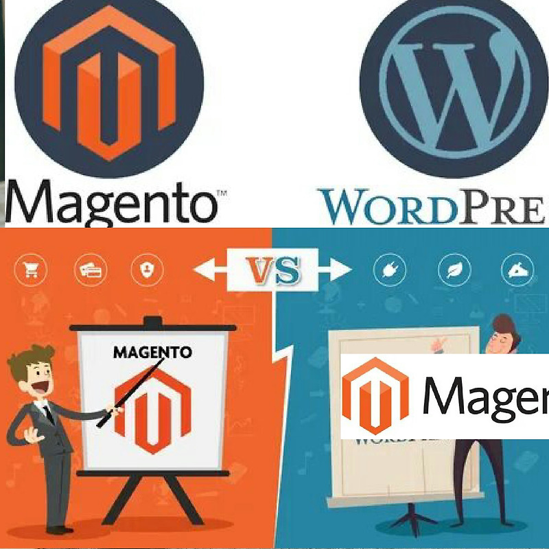 Magento CMS vs WordPress CMS which beta?