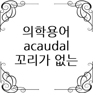 의학용어 acaudal 꼬리가 없는
