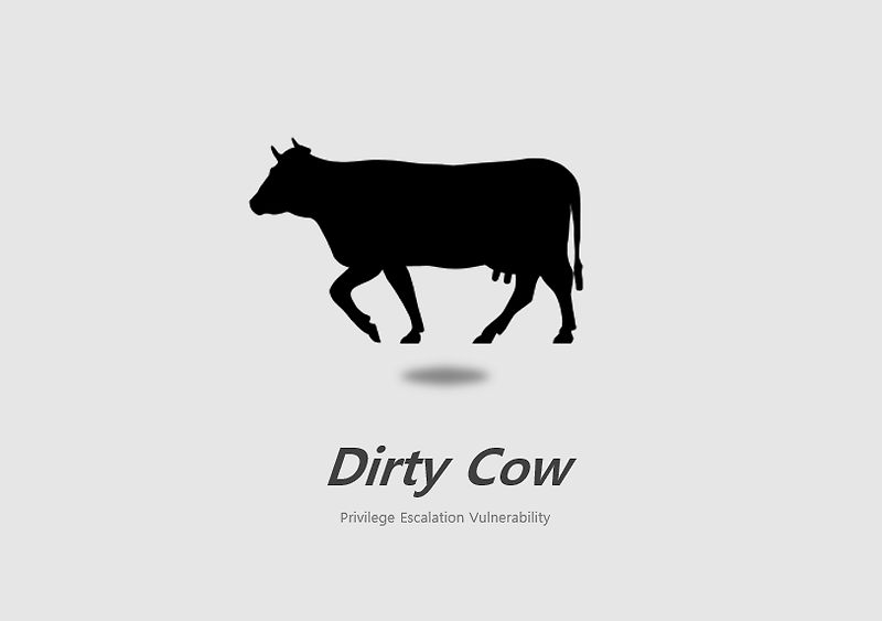 Dirty Cow :: Do just once