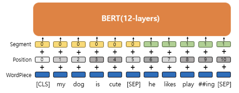 [NLP] BERT(1) 사전학습 Embedding :: NLP 고민의 흔적