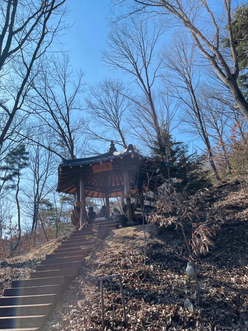 대전 무수동 치유의 숲 산책길 대전 가볼만한곳 추천