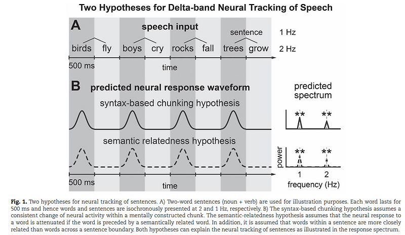 Delta-band neural tracking primarily reflects rule-based chunking instead of semantic ...
