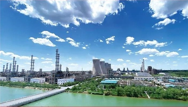 세계매출38위 Sinochem Holdings 소개와 사업영역 및 매출과 향후 전망