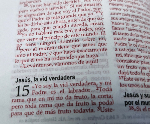 [요한복음15장][John 15][Juan 15][约翰福音 15]