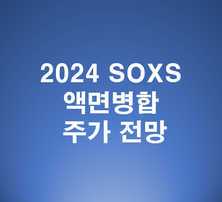 2024 SOXS 액면병합과 주가 전망