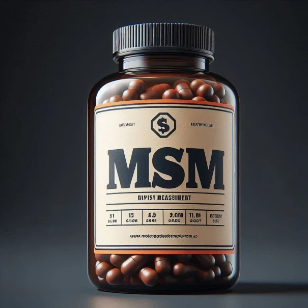 MSM의 효능 추천