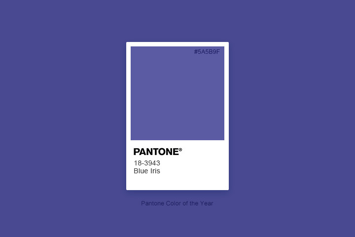 Blue Iris (18-3943) : 2008년 '팬톤(Pantone) 올해의 컬러'