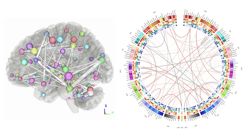 [자료] 1. Brain Connectivity Toolbox