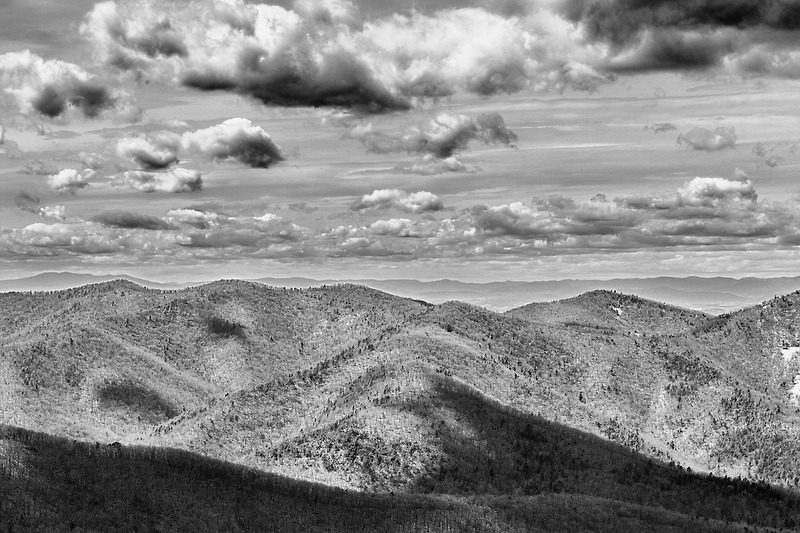 다시 그 자리에- Big Meadow