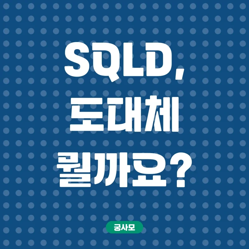 마술사자격증 SQLD, 취업 성공 마법