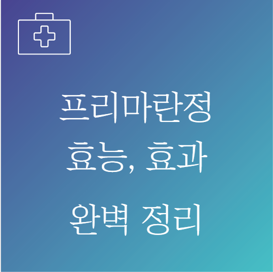 항히스타민제 프리마란정(Primalan Tablet)효능, 효과, 부작용, 복용방법 완벽정리