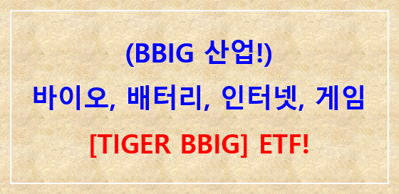 [TIGER BBIG] -바이오, 배터리, 인터넷, 게임 ETF 한번에 투자! (NAVER, 알테오젠, 크래프톤, 더존비즈온)