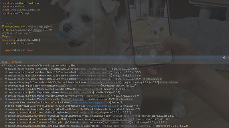 오류 해결 | Cause: java.lang.IndexOutOfBoundsException: Index: 4, Size: 4 / Caused by: java.lang ...