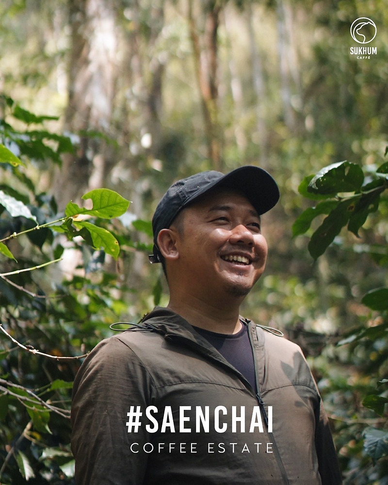 태국 COE National Winner #6 (86.13점) Farmer Seanchai 티피카 내추럴