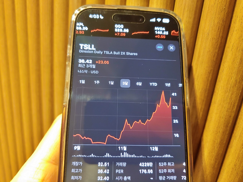 TSLL 주가, 테슬라 2배 레버리지 ETF 살펴보니?