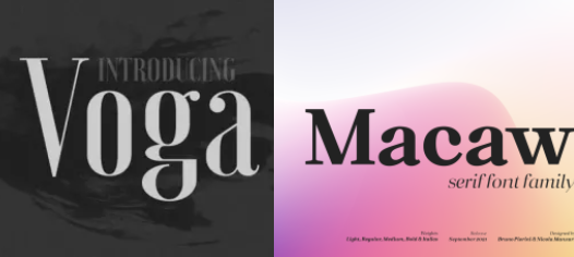 Voga Serif Font _ Macaw Serif Font