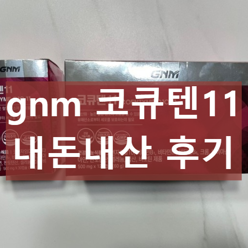 GNM 코큐텐 11 내돈내산 후기 효능 효과 부작용 복용법