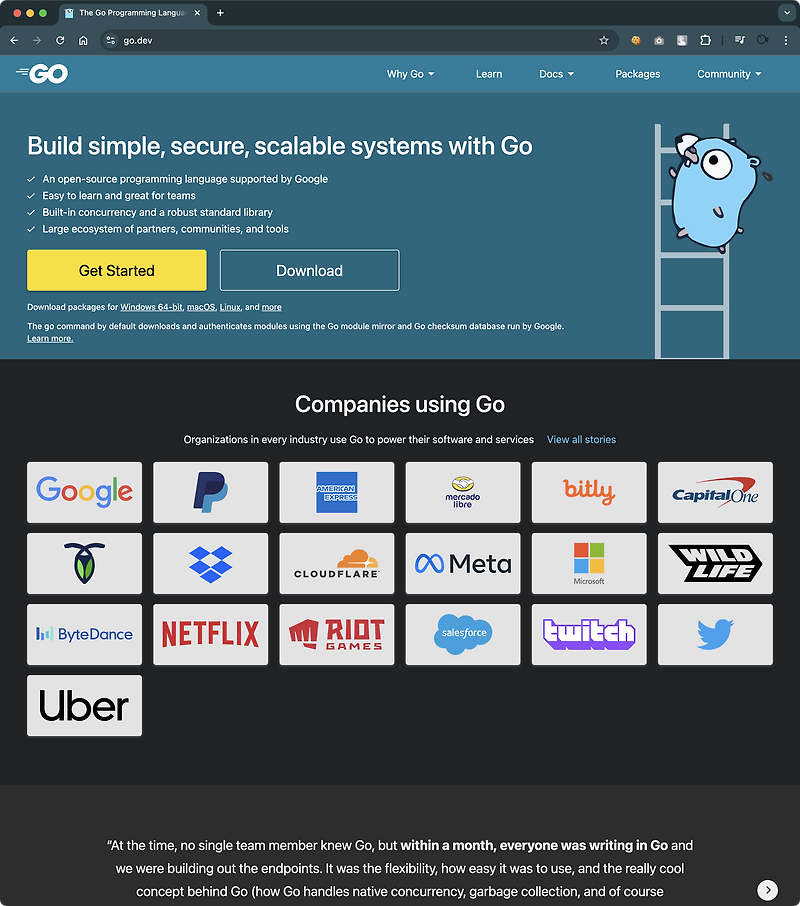 Golang "Hello, World"