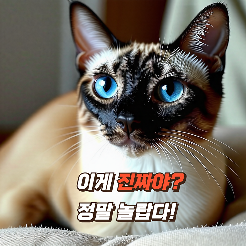 Cat Allergy Symptoms and Management: How to Protect Your Feline Friend