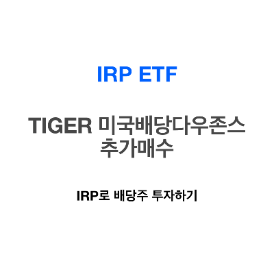 IRP 투자, 직장인 재테크 한국판 SCHD ETF 추가매수(TIGER 미국배당다우존스)