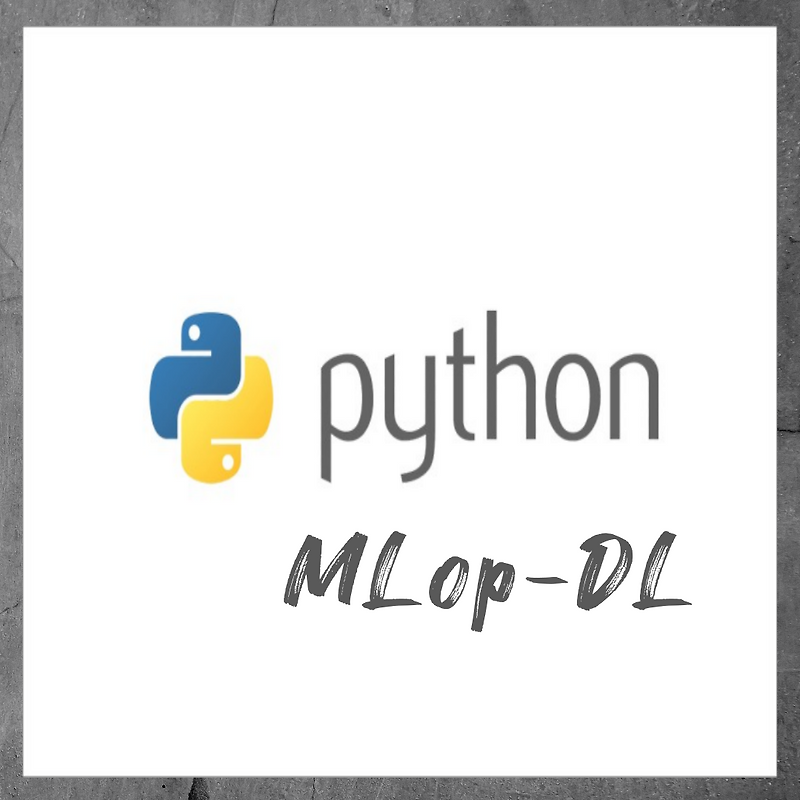 MLop_DL_ResNet 실습