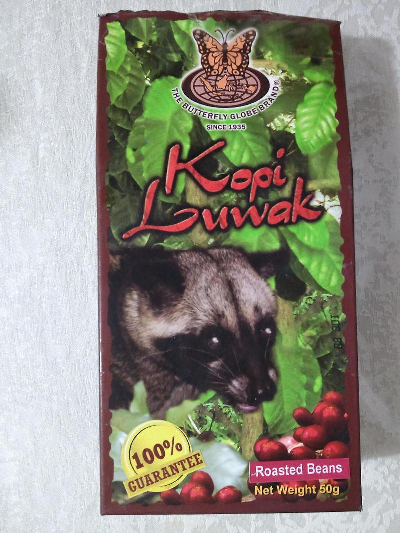 Luwak Coffee, KOPI BALI(인도네시아, 2011)