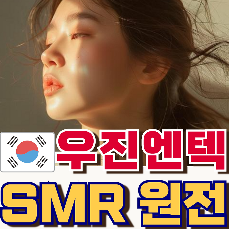 SMR 원전 관련주 : 우진엔텍 기업 분석 TOP