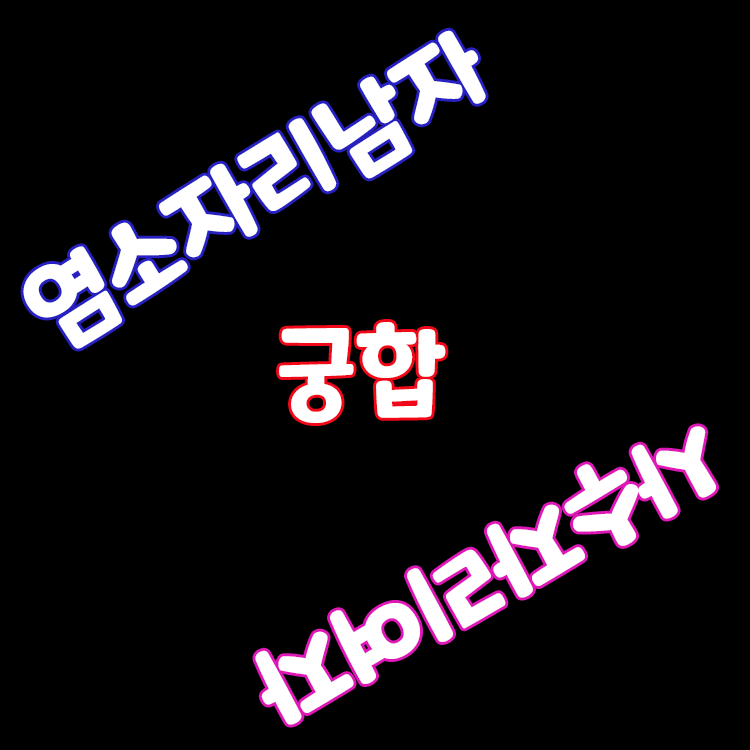 염소자리남자 사수자리여자 궁합 :: 운세s