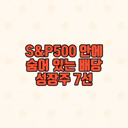 S&P500 안에 숨어 있는 배당 성장주 7선