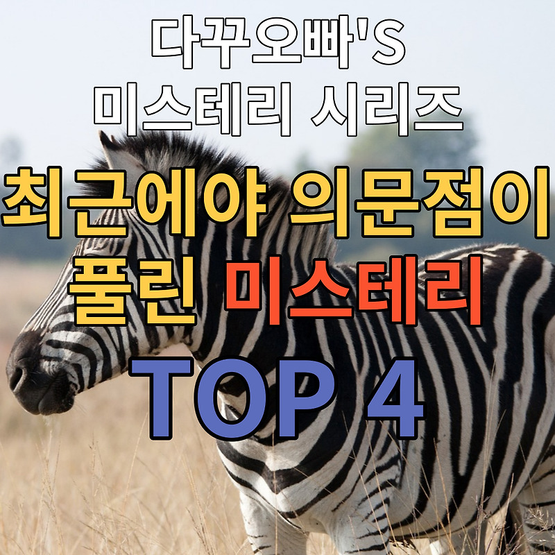 14. 최근에서야 의문점이 풀린 미스테리 TOP4