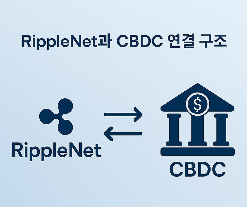 RippleNet과 CBDC는 어떻게 연결되는가?