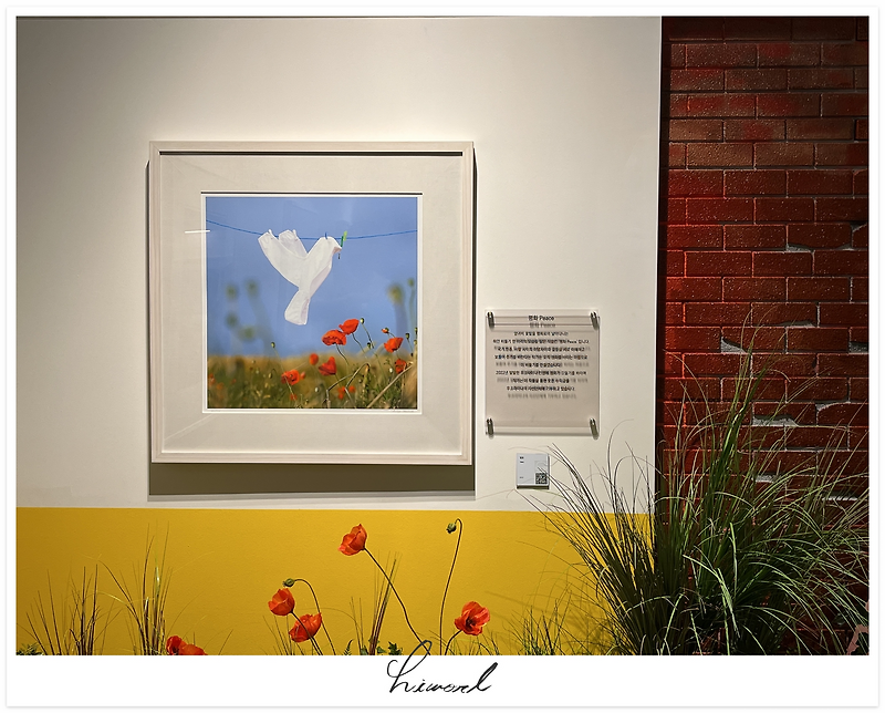 [리뷰] CxC Art Museum 건대 / 헬가 스텐첼 사진전 : 일상의 재발견