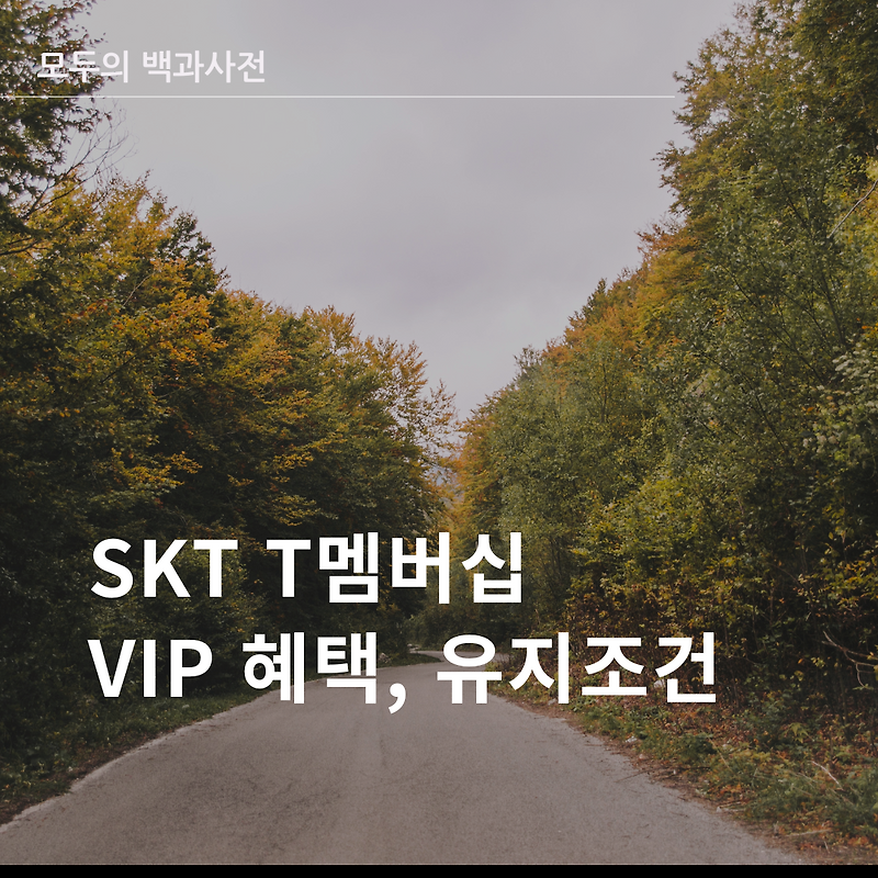SKT T멤버십 VIP 혜택과 유지조건 정리