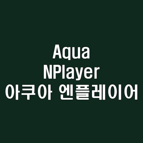 Aqua NPlayer 아쿠아 엔플레이어 PC버전 이용 방법 | 앱 설치하기