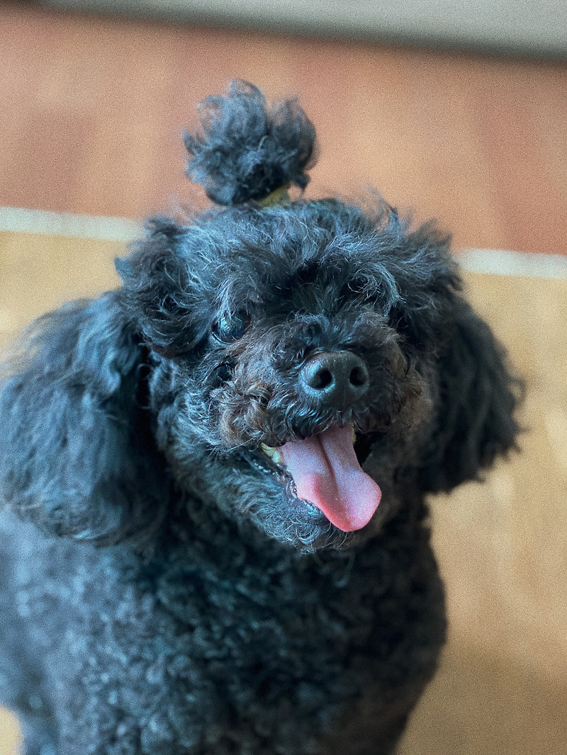 ?scode=mtistory2&fname=https:%2F%2Fblog.kakaocdn.net%2Fdn%2FW2bgS ...