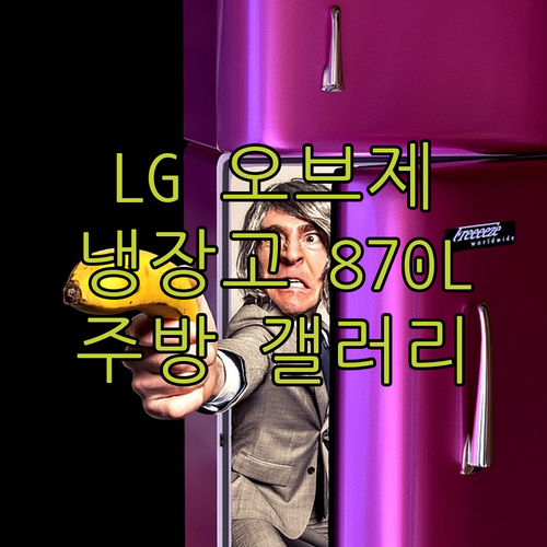 LG 오브제 디오스 냉장고 870L, 우리집 주방을 갤러리로! 놀라운 변신!
