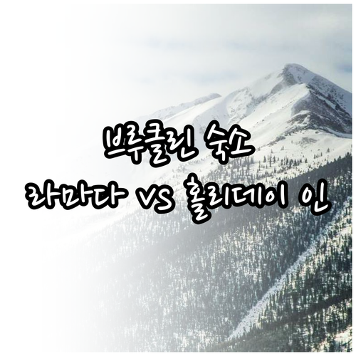뉴욕 브루클린 숙소 추천 라마다 홀리데이 인 브루클린 바이브 호텔 비교 분석